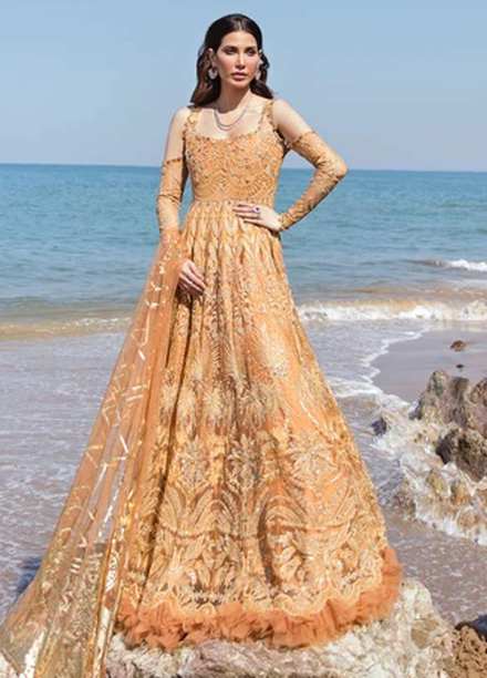 Amiraa by Reign Luxury Formals Collection 2021 | Sanaulla Store