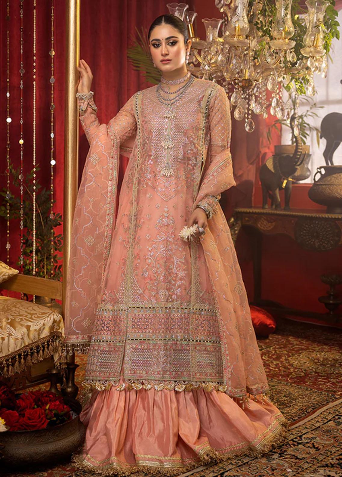 Nooraniyat By Bin Ilyas Embroidered Organza Suits Unstitched 3 Piece BI23N D-6023 - Luxury ...